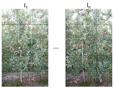 example of two images and their division into non overlapping patches