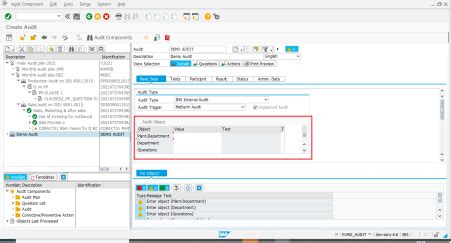 How To Conduct The Audit In SAP Software