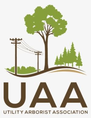 Tree Line Usa Is An Arbor Day Foundation Program In Utility Arborist Association PNG Image