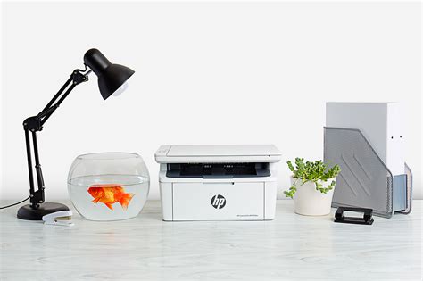 Hp Ra M T B I M Y In Laserjet Pro M V Mfp M Nh G N Gi M M Cho Nhu C U N Gi N Vi T