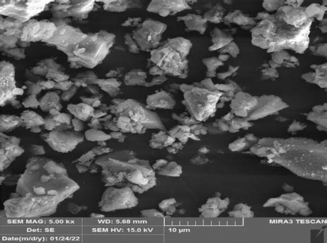 Sem Microstructure Of Cement Particles Download Scientific Diagram