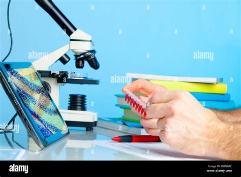 DNA Analysis In The Laboratory Stock Photo Alamy