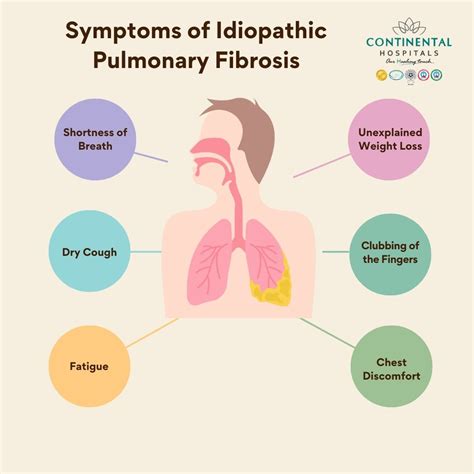 Idiopathic Pulmonary Fibrosis Ipf Causes Symptoms And Treatment