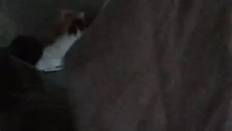 Free Roller Porn Videos 3 Xhamster