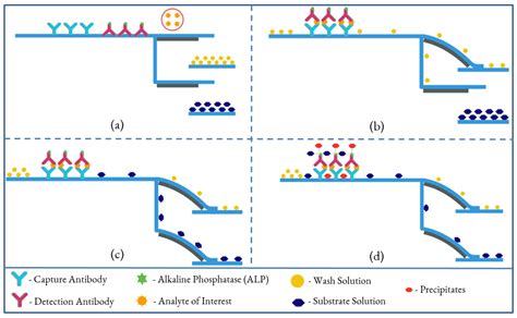 Development Of A New Lab On Paper Microfluidics Platform Using Bi Material Cantilever Actuators