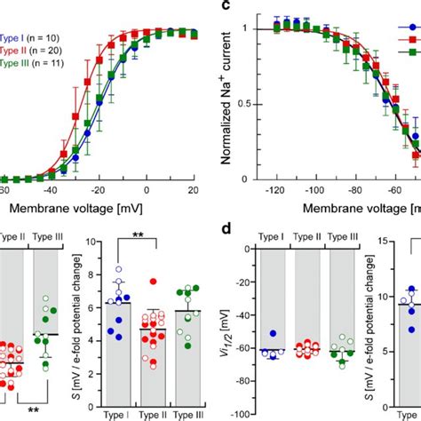 Activation And Steady State Inactivation Of Voltage Gated Na⁺ Currents Download Scientific