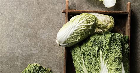 배추 지금이 제일 맛있다