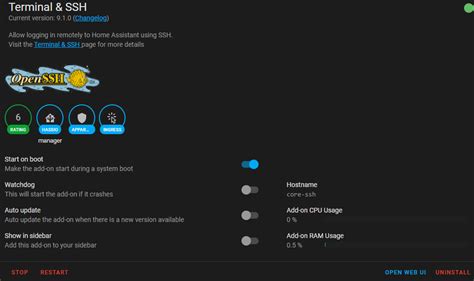 Local Dns Home Assistant Os Home Assistant Community