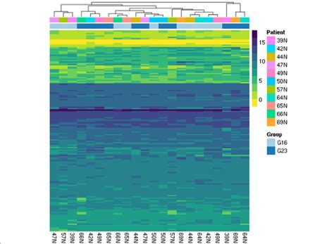 heatmap hierarchical clustering of genes and samples generated using