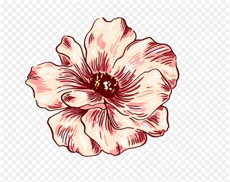 小清新水彩花卉花朵PNG图片素材下载 图片编号ymrlvraz 免抠素材网