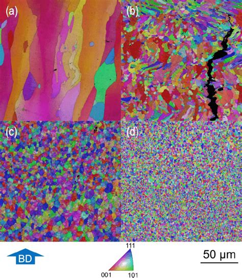 SEM EBSD Images Indicating The Grain Structure Of Samples Achieved With Download Scientific