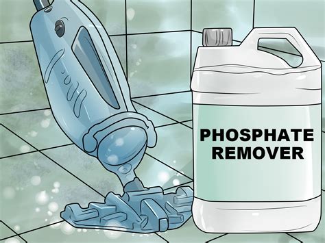 3 Ways To Eliminate And Prevent Green Algae In A Swimming Pool