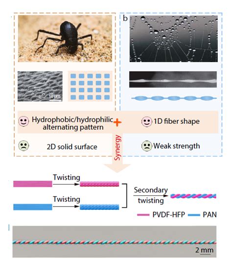 Bioinspired Yarn Enhances Fog Collection For Water Harvesting Plastics Engineering