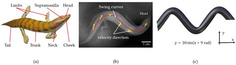 simulation and structural analysis of a flexible coupling bionic