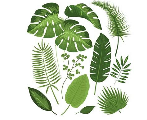 বর্গ কাকে বলে বর্গের পরিসীমা নির্ণয়ের সূত্র বর্গের কর্ণের সূত্র Prosnouttor