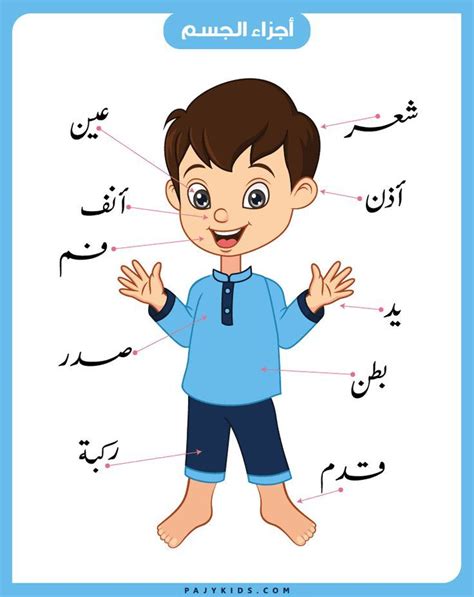 لوحات تعلم أجزاء الجسم للاطفال Eğitim Gerçekler