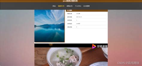 [附源码]python计算机毕业设计java视频点播系统django（程序 lw） 视频点播系统java csdn博客