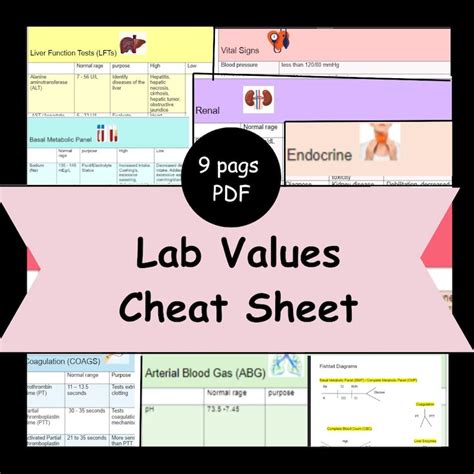 Lab Value Cheat Sheet Abg Memory Tricks 9 Pages Pdf Instant Download Nursing School