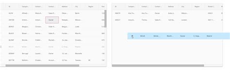 5 Should Have Angular Grid Row Options Apkhore News