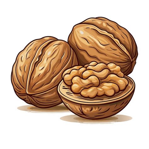 Walnuts Food Vector Creation Premium Ai Generated Vector