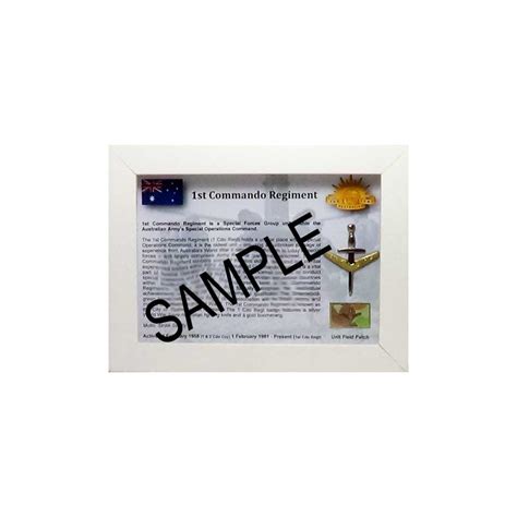 1st Commando Regiment