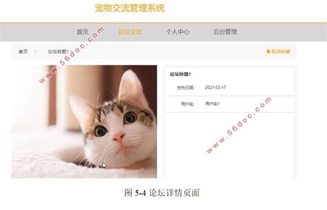 基于springboot宠物交流管理系统的设计与实现mysql含录像jsp56设计资料网