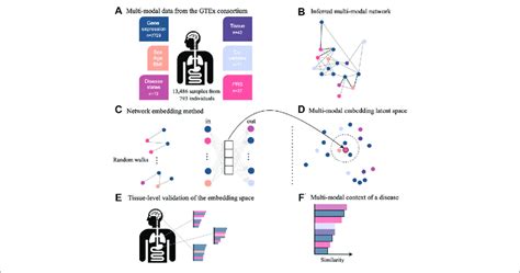 Novel Network Inference And Embedding Framework To Integrate