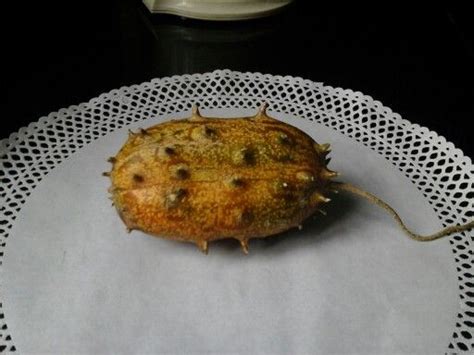 Fruit Breakfast Healthy Eating Healthy Eating Healthy Breakfast