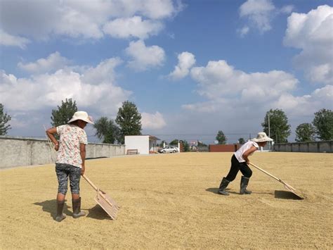 （川观新闻）入库超20万家！四川家庭农场为何这么有魅力？ 四川农业大学新闻网