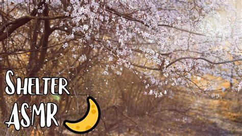 🌺봄날의 꽃향기로 가득한 어느 맑은 날🌸 L 피아노소리 Asmr L 집중 L 백색소음 L Relaxing Piano Music 5분 후 화면 꺼짐 Youtube