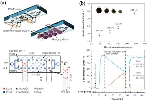 Latest Trends In Biosensing For Microphysiological Organs On A Chip And
