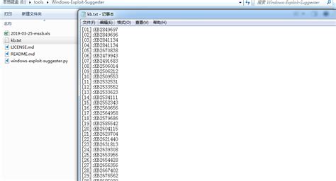 windows提权exp辅助工具——windows exploit suggester csdn博客