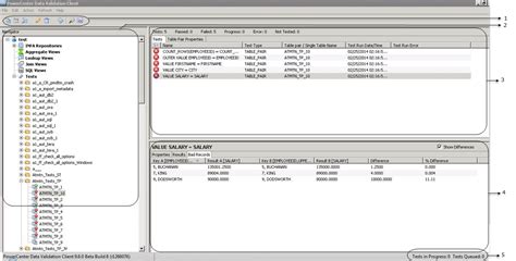 Data Validation Client