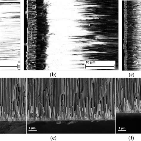 Schematic Diagram Of Preparation Of Core Shell Nanowires The Nanowires Download Scientific