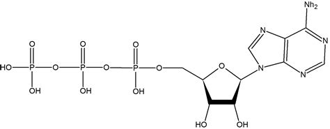 Functional Groups MCC Organic Chemistry