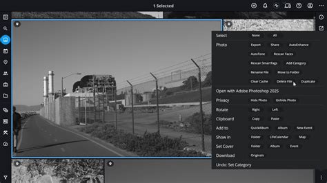 Permanently Delete Files Mylio Photos Version 24 3