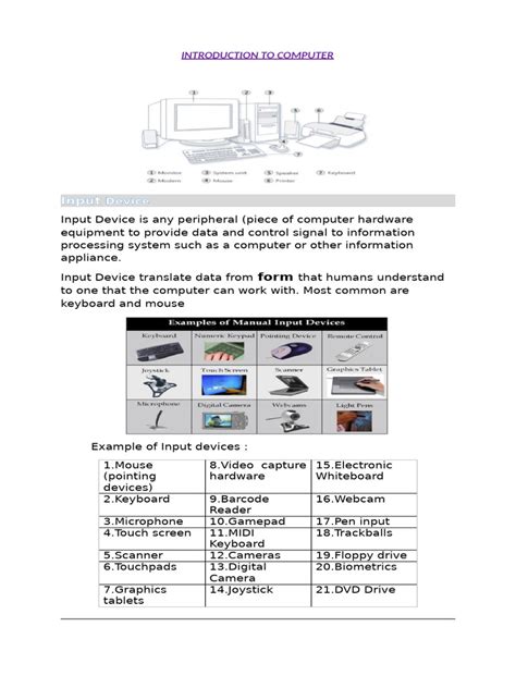Introduction To Computer Pdf Application Software Computer Program
