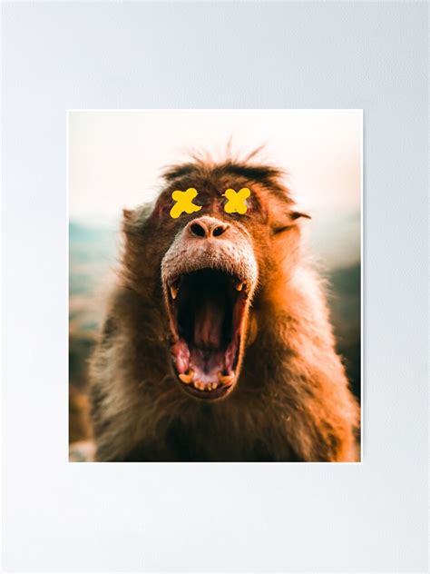 Póster Mono Nerd Mono Tonto Mono Humorístico Mono Gracioso Mono