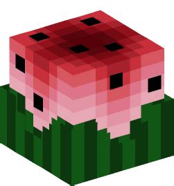 Watermelon Slice — 86414 — Minecraft Head