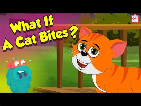 Is Cat Bite Dangerous How Cat Bite Learn About Cats With Dr