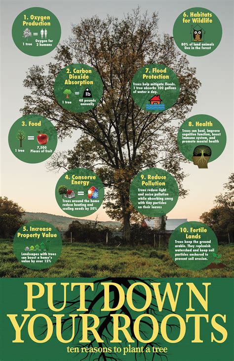 Plant A Tree Poster On Behance