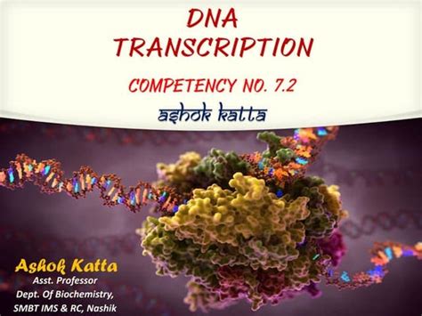 Transcription In Prokaryotes Pdf