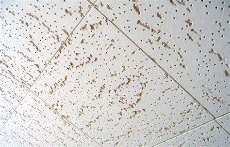 Identifying Asbestos Ceiling Tile Betskool