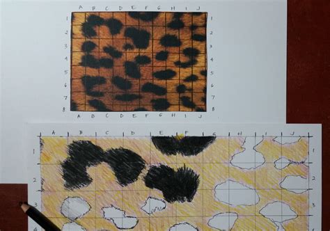 Spots And Stripes Awesome Life Patterns Emerging