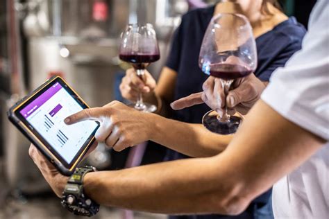 Quando è Il Momento Giusto Per Vendemmiare Lo Svela Polyscan Di Vinventions Italia A Tavola