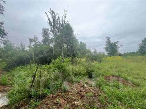 Продаётся земельный участок в Артёме 750 0 кв м собственность есть подъездные пути 25 27