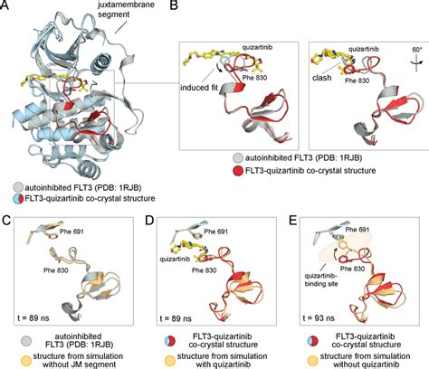 An Induced Fit Of The Activation Loop Of Flt3 With Quizartinib