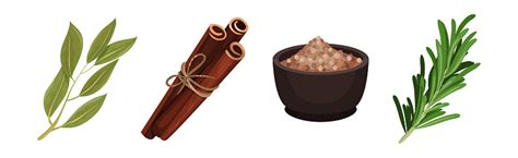 베이 리프 시나몬 스틱 그릇에 담긴 후추 로즈마리 벡터 세트가 포함된 다양한 향신료와 조미료 계피에 대한 스톡 벡터 아트 및 기타 이미지 Istock