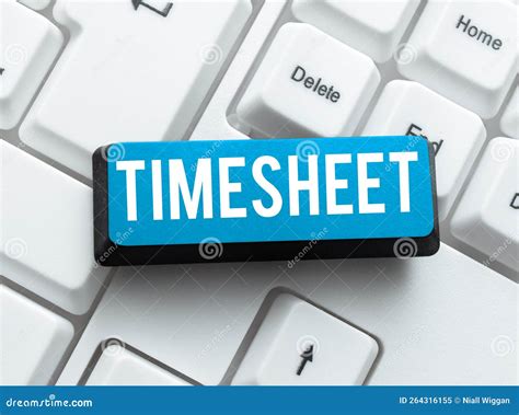 Text Caption Presenting Timesheet Internet Concept Graphical