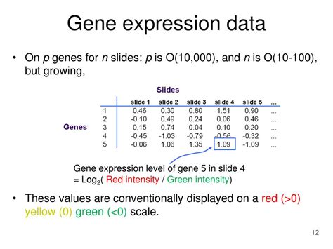 PPT Gene Expression Analysis PowerPoint Presentation Free Download ID 5386813